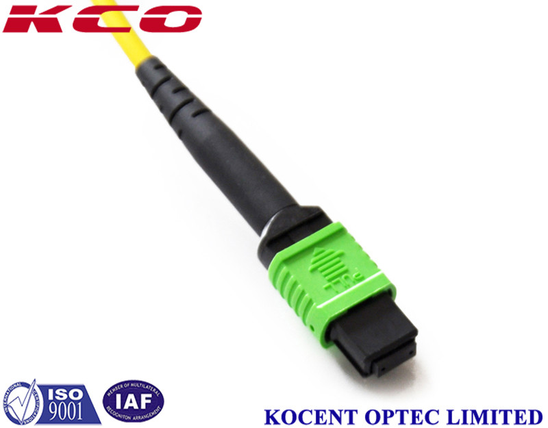 Single Mode Breakout Fiber Optic Cable MPO/APC To 12 LC/UPC OS2 G652D 2 ...