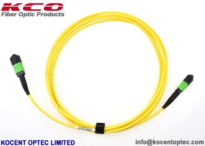 8cores 12cores 24cores MPO MTP Optic Fiber Patch Cord SM 9/125 Single ...